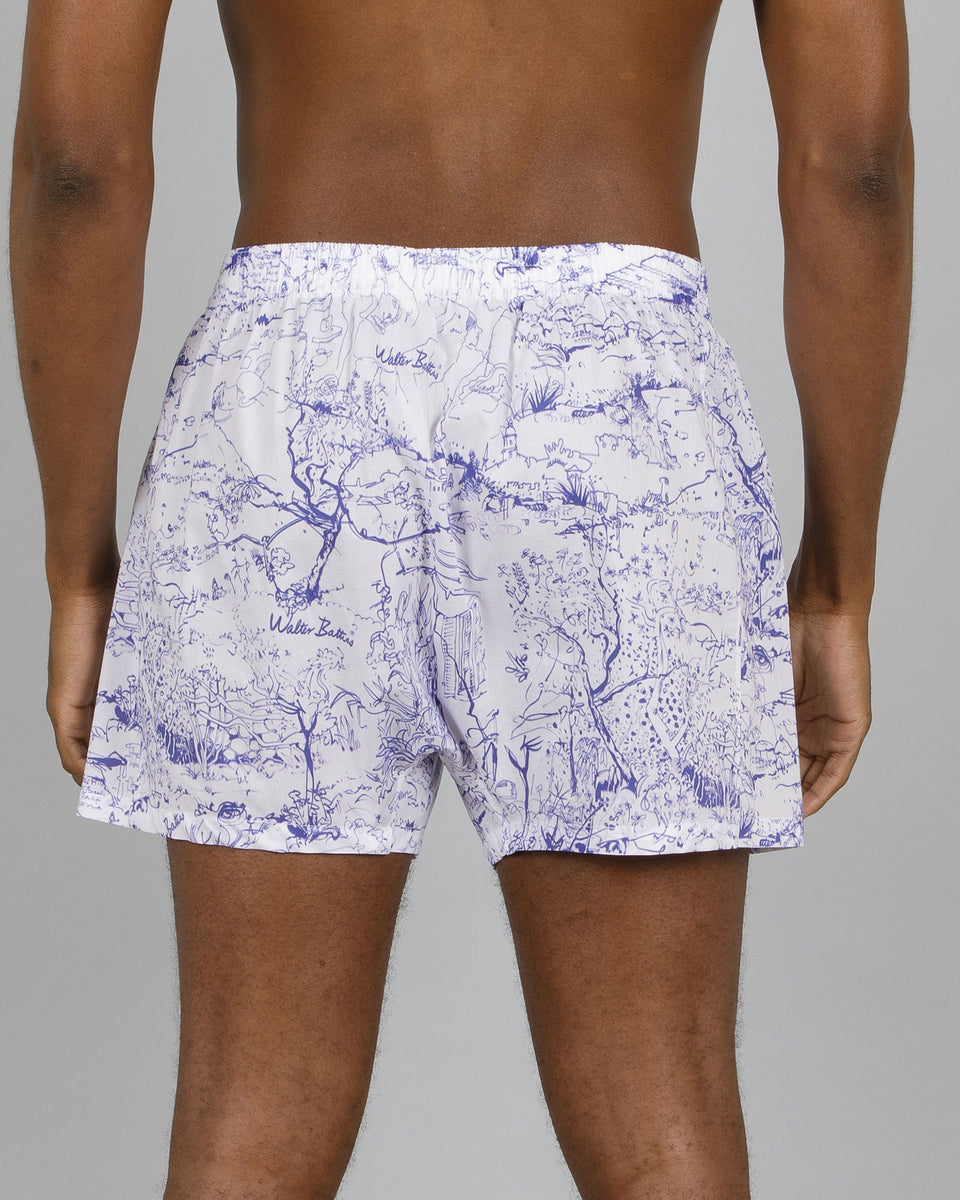 Willows - Original Boxer Short – Walter Battiss